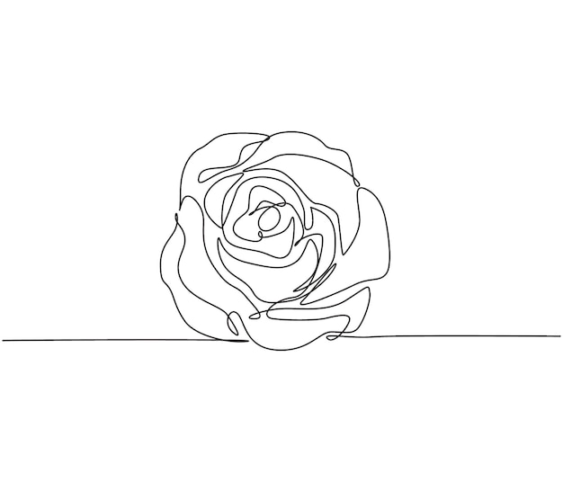 Elegant Single Line Rose Illustration | Jiffy Designs