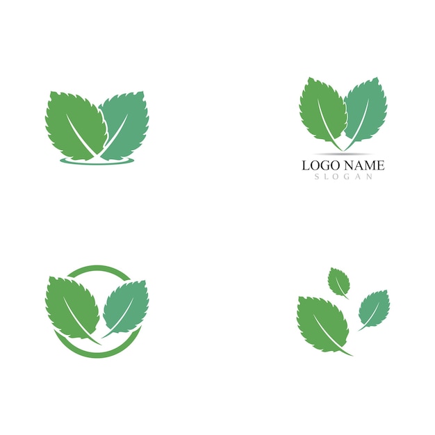 Vibrant Collection of Stylized Green Leaf Logos and Emblems | Jiffy Designs