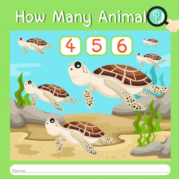 Colorful Undersea Turtle Habitat with Counting Numerals | Jiffy Designs