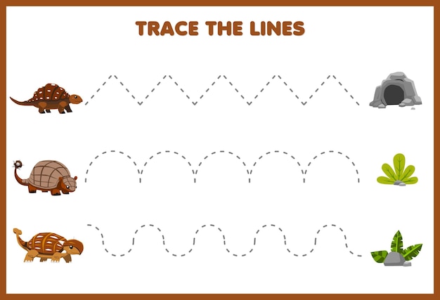Trace the Wavy Paths of Whimsical Tortoise Illustrations | Jiffy Designs
