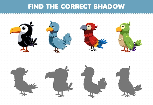 Colorful Cartoon Birds and Their Matching Shadows | Jiffy Designs