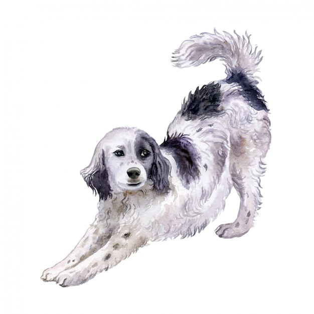 Playful Pup: Spotted Canine in Energetic Pose | Jiffy Designs