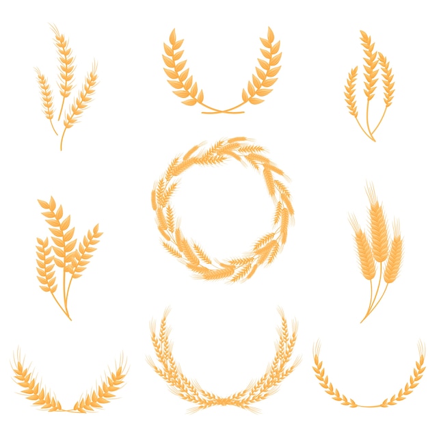 Vibrant Wheat Sheaf Collection: Versatile Graphic Elements | Jiffy Designs