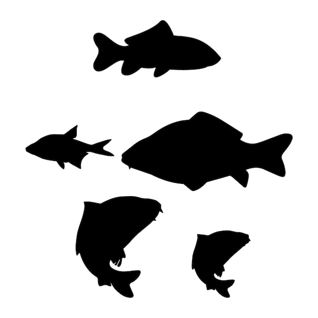 Diverse Collection of Freshwater Fish Silhouettes | Jiffy Designs