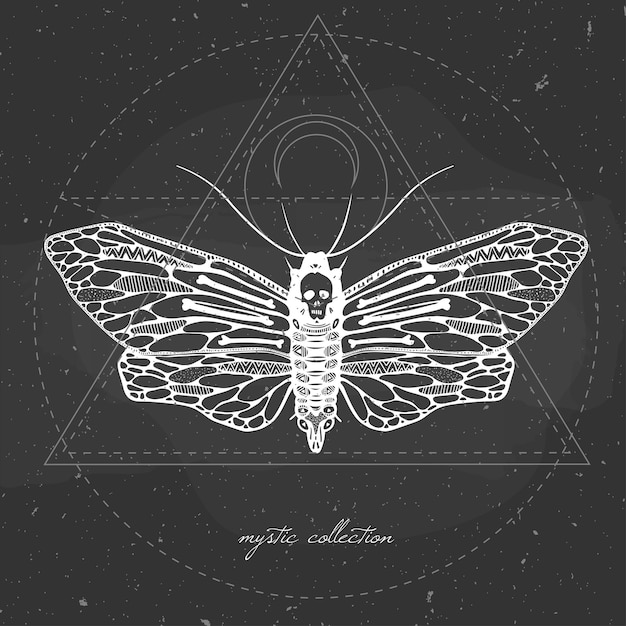 Ethereal Moth Silhouette Amid Cosmic Geometry on Starry Night | Jiffy ...