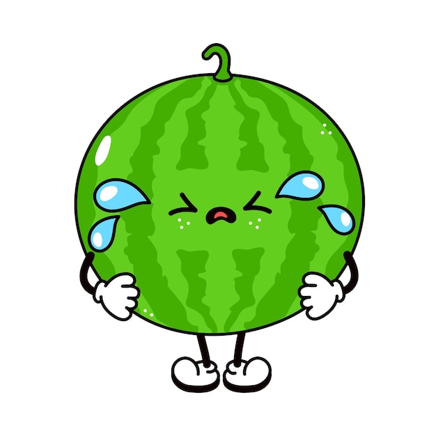 Adorable Crying Watermelon Character with Kawaii Expression | Jiffy Designs