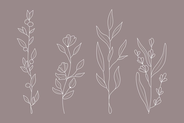 Delicate Line Art Botanical Elements Collection | Jiffy Designs