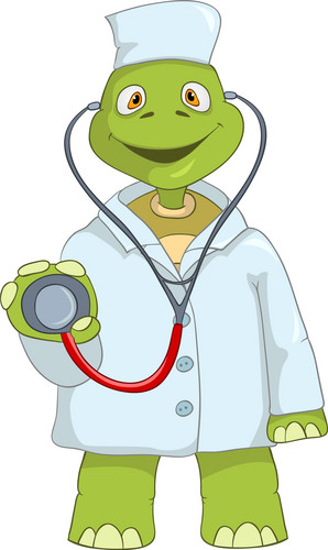 Funny Turtle. Doctor. | Jiffy Designs