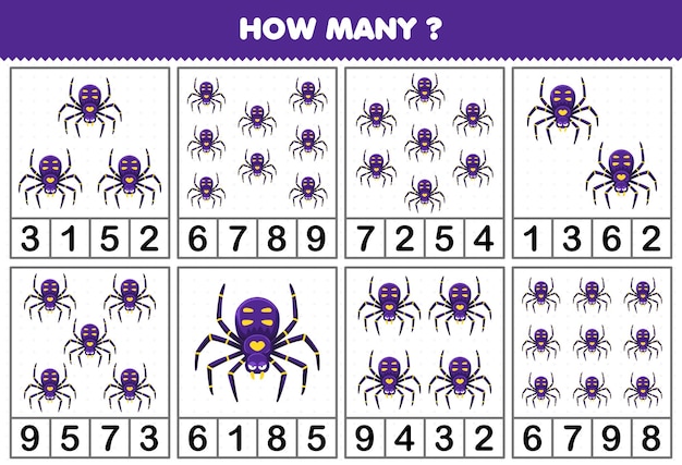 Spooky Spider Collection: Counting and Identifying Arachnids | Jiffy ...