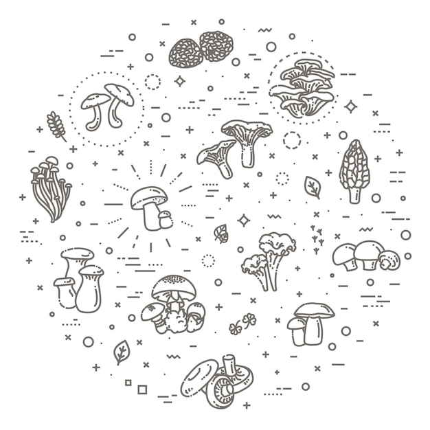 Enchanting Mushroom Wonderland: A Whimsical Illustration | Jiffy Designs