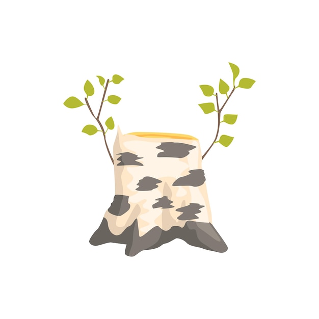 Vibrant Foliage Sprouting from Rustic Tree Stump | Jiffy Designs