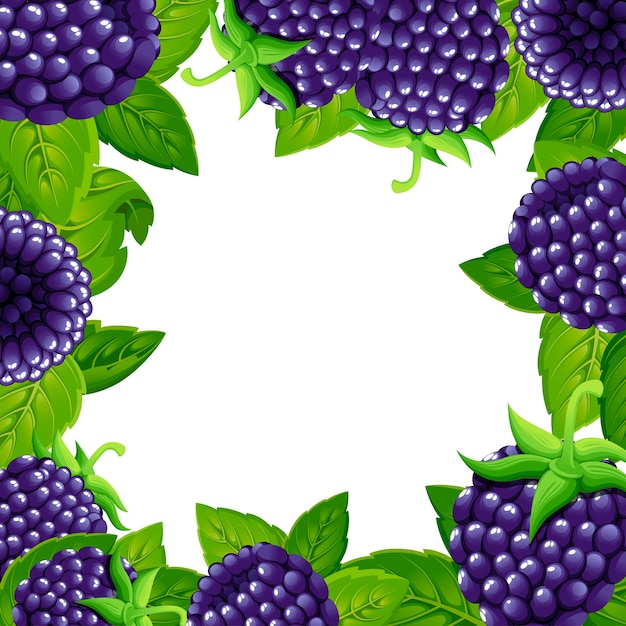 Vibrant Blackberry Cluster with Lush Green Leaves | Jiffy Designs