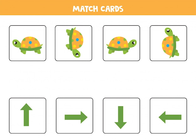 Colorful Turtle Match Cards for Fun Learning | Jiffy Designs