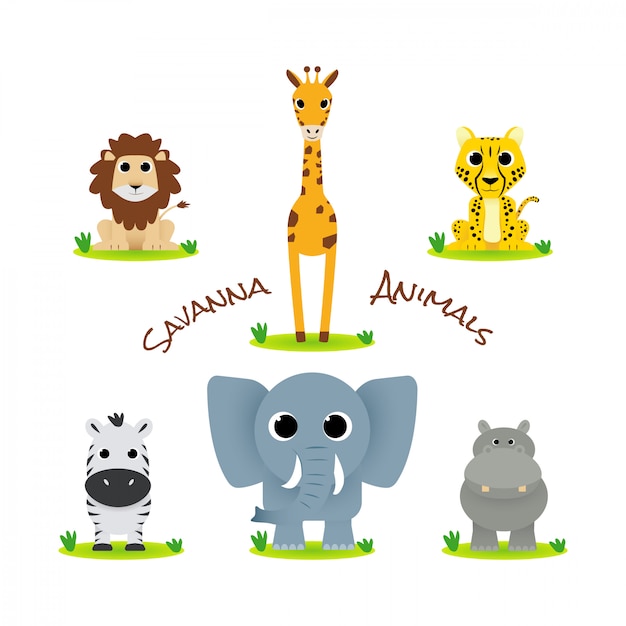 Adorable Cartoon Safari Animals in Vibrant Illustration | Jiffy Designs