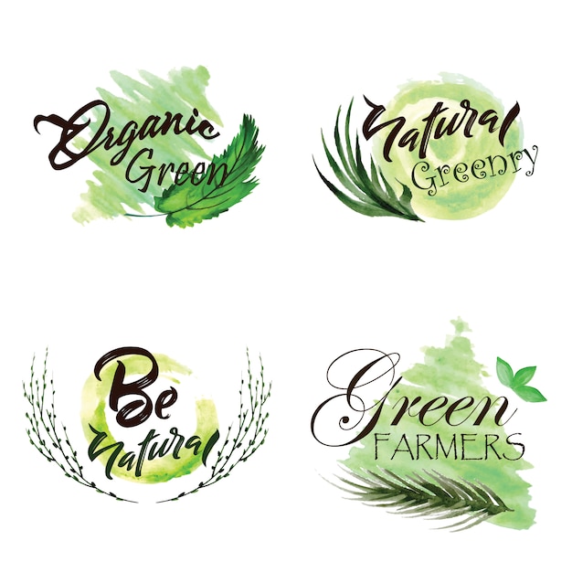 Nature-Inspired Green Designs with Botanical Typography | Jiffy Designs