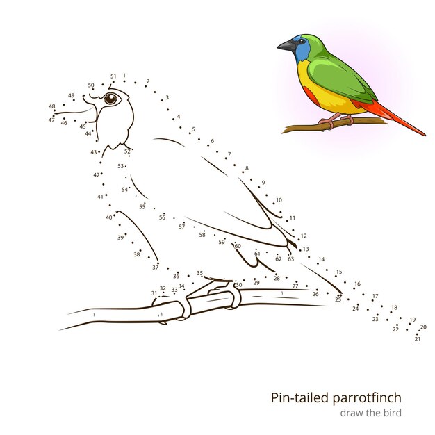 Vibrant Pin-tailed Parrotfinch Illustration with Detailed Dot-to-Dot ...