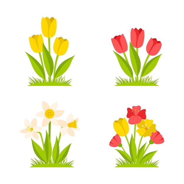 Vibrant Tulip and Daffodil Flower Illustrations Collection | Jiffy Designs