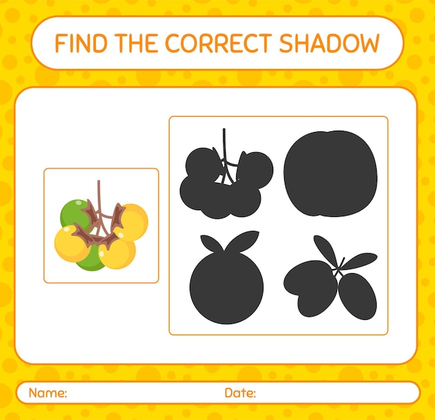 Vibrant Fruit Shadows: A Playful Matching Game | Jiffy Designs