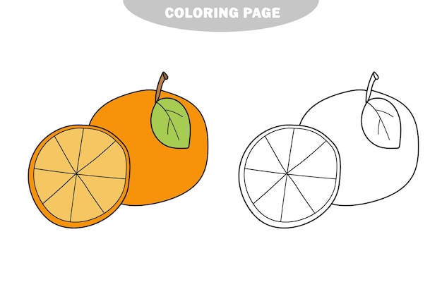 Vibrant Citrus Slices: A Refreshing Coloring Page | Jiffy Designs