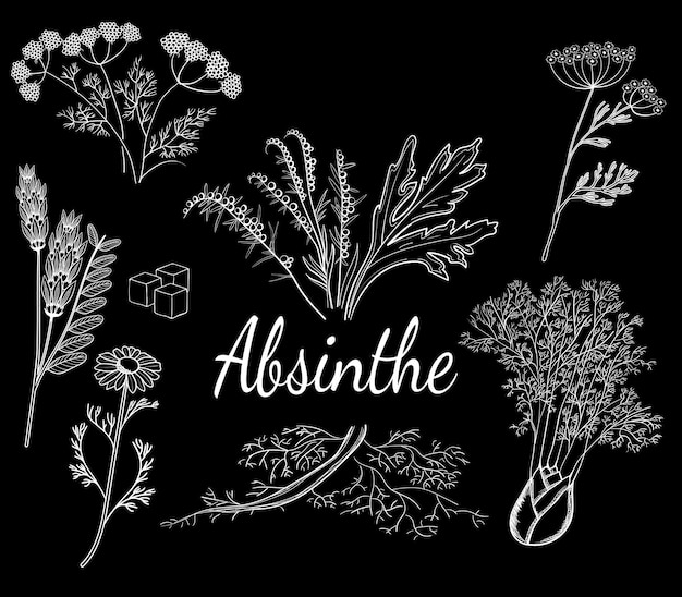 Exquisite Botanical Illustration of Absinthe Herbs | Jiffy Designs