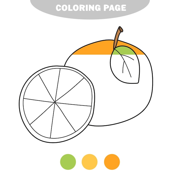 Vibrant Citrus Slice Coloring Page | Jiffy Designs