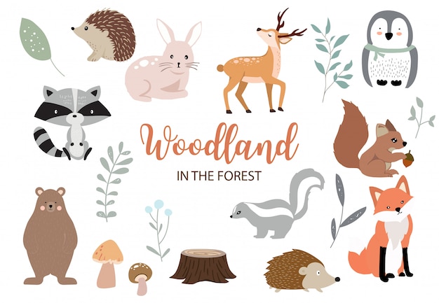 Woodland Creatures and Elements Collection in Soft Earth Tones | Jiffy ...