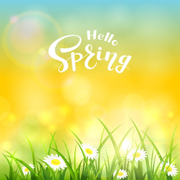 Vibrant Hello Spring Illustration with Daisies and Grass | Jiffy Designs