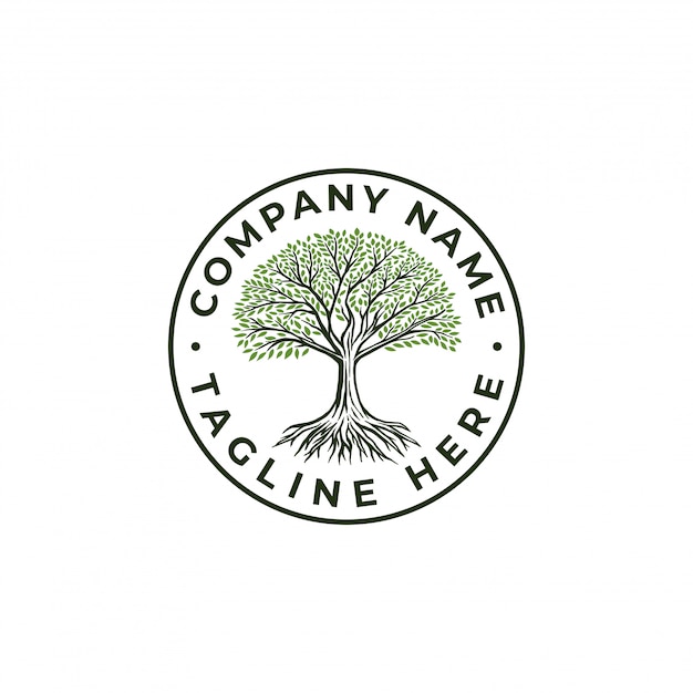 Thriving Oak Tree Company Logo with Elegant Typography | Jiffy Designs